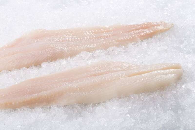 Turbot Fillets – Tony's Seafood Online Ordering